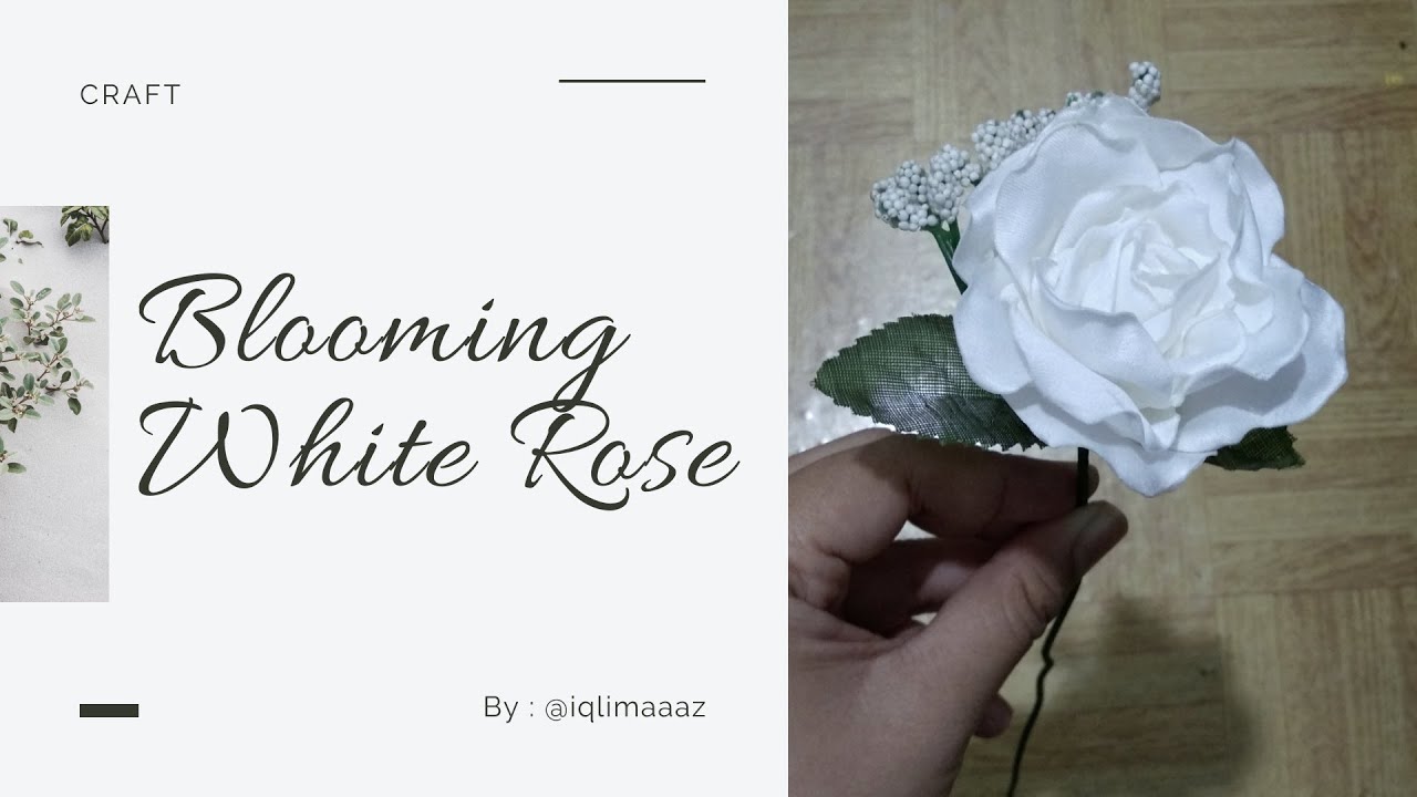 Blooming White Rose | CRAFT VID - YouTube