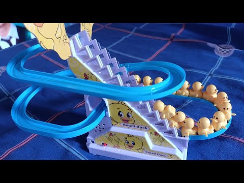 PLAYING LITTLE CUTE DUCK JUMPING #asmr #viral #shorts - YouTube