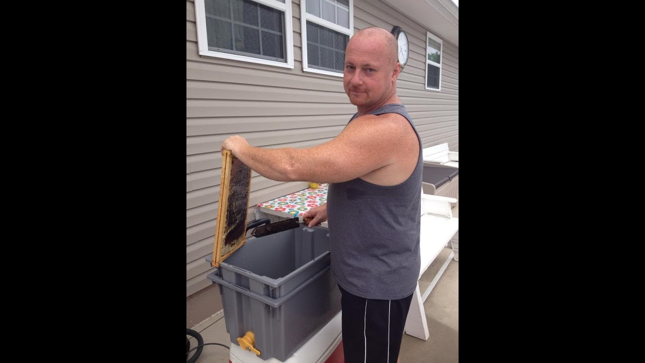 Georgia Honey Bees For Sale Barnyard Bee - YouTube