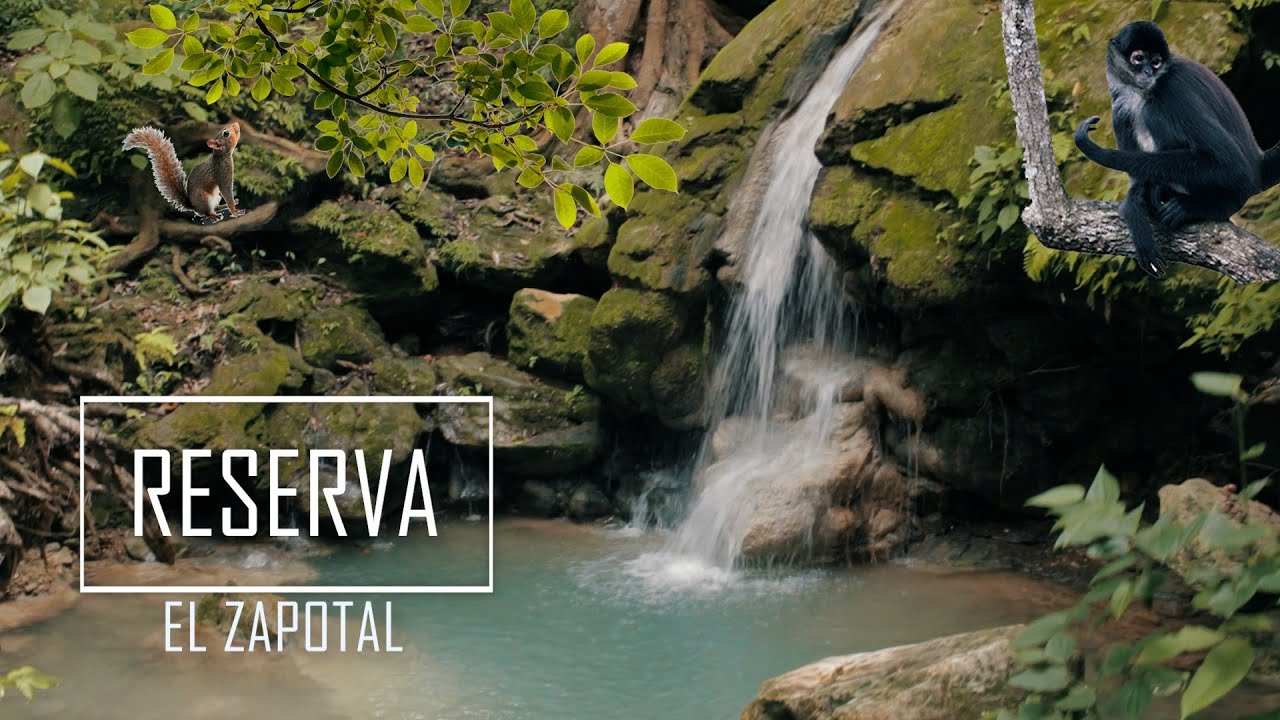 RESERVA "EL ZAPOTAL" 🌳 uno de los ultimos pulmones de la capital del ...