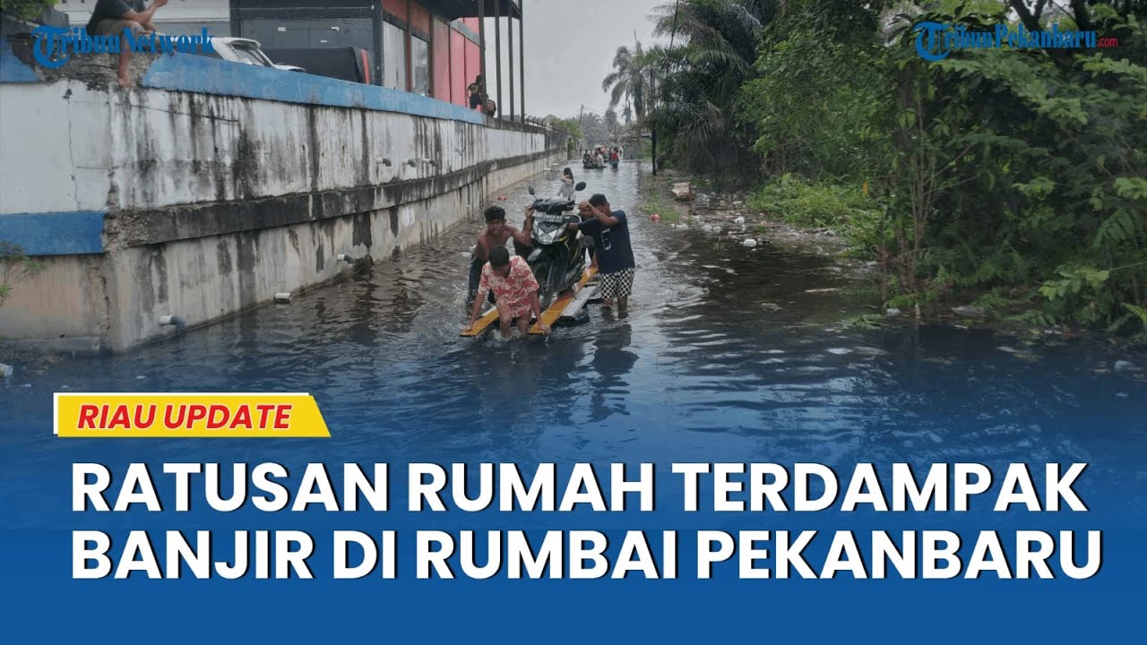 RATUSAN Rumah Terdampak Banjir di Rumbai Pekanbaru, Warga Minta Dibantu ...