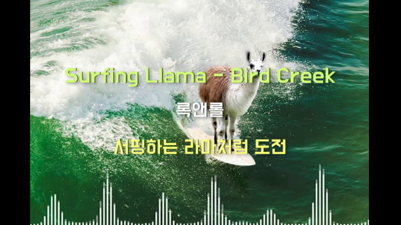 무료음원 Surfing Llama - Bird Creek: 서핑하는 라마처럼 도전하는 삶 - YouTube