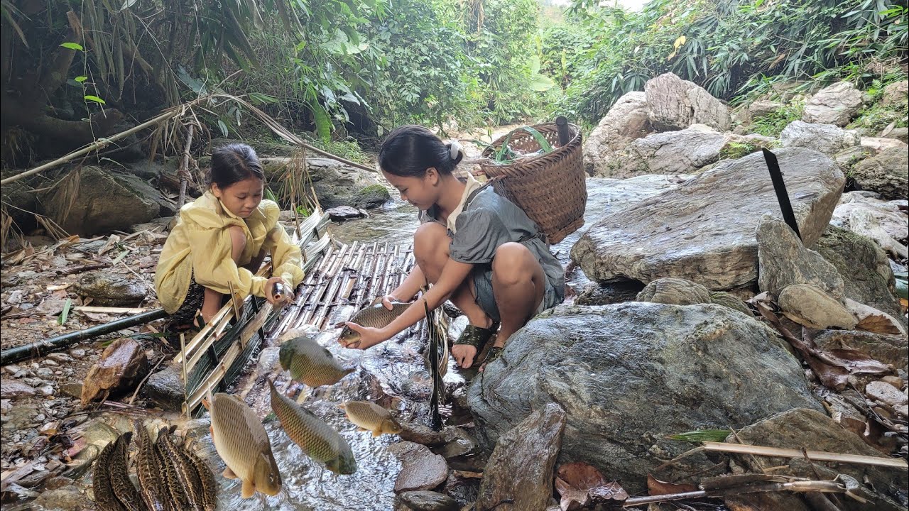 blocking the stream as a rudimentary trap to catch fish, the poor girl ...