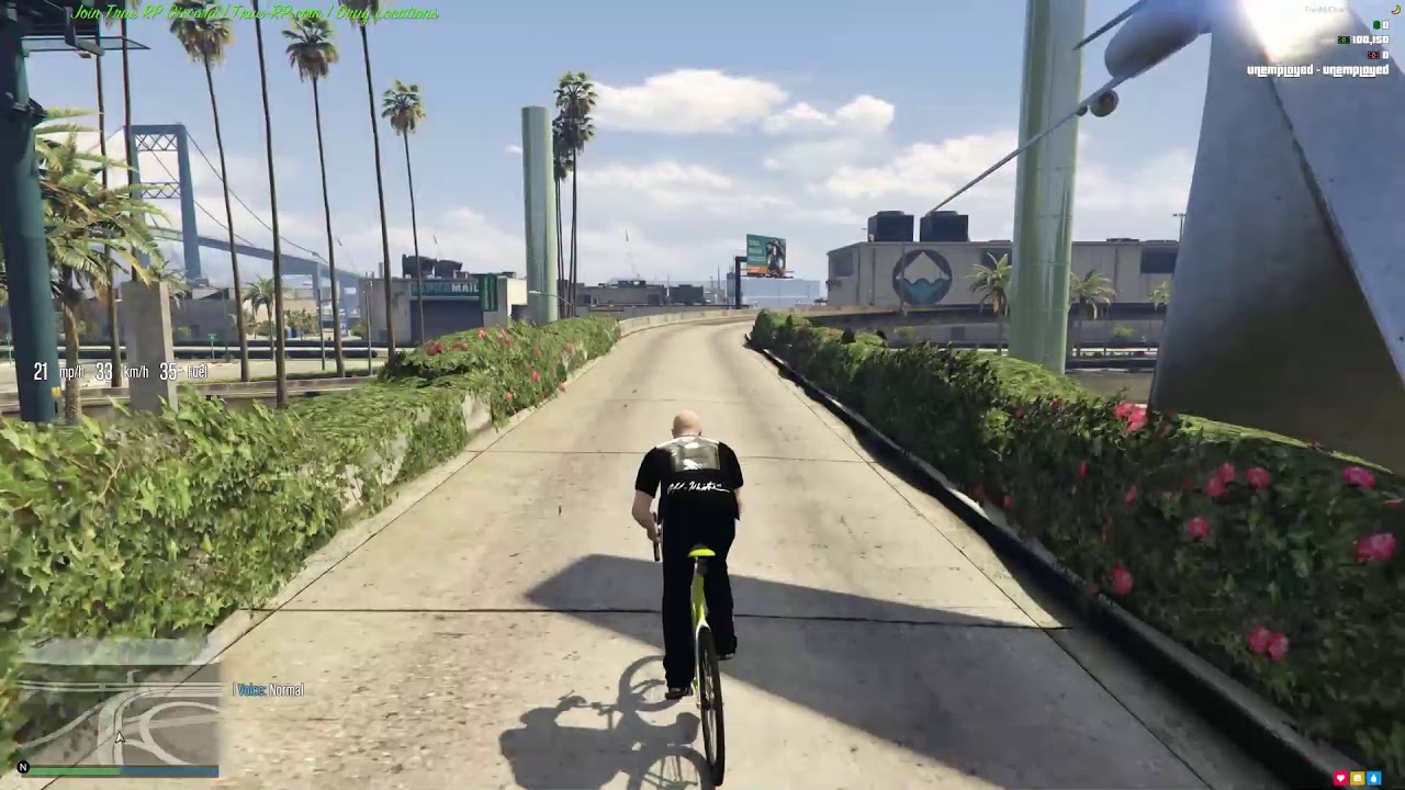 My first GTA 5 Roleplay PC - YouTube