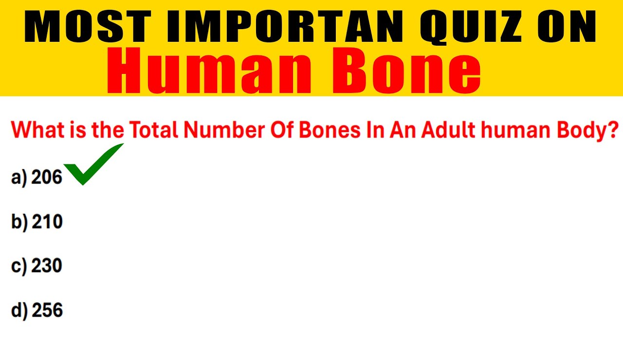 Top 50 MCQs About Human Bones Most Important Question Human Bone Quiz ...