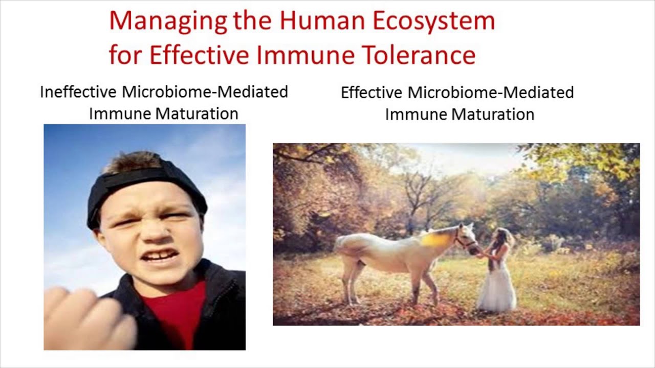 ILSI NA AM2015: The Human Microbiome: The Interface of Health and ...