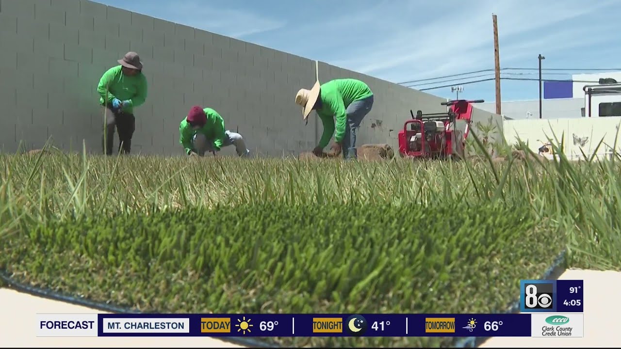 SNWA offers Las Vegas residents incentive to get rid of grass - YouTube