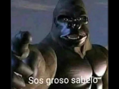 SOS UN GROSO SABELO - YouTube