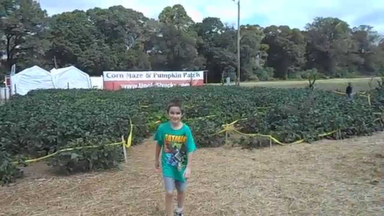 The Maze Race - YouTube