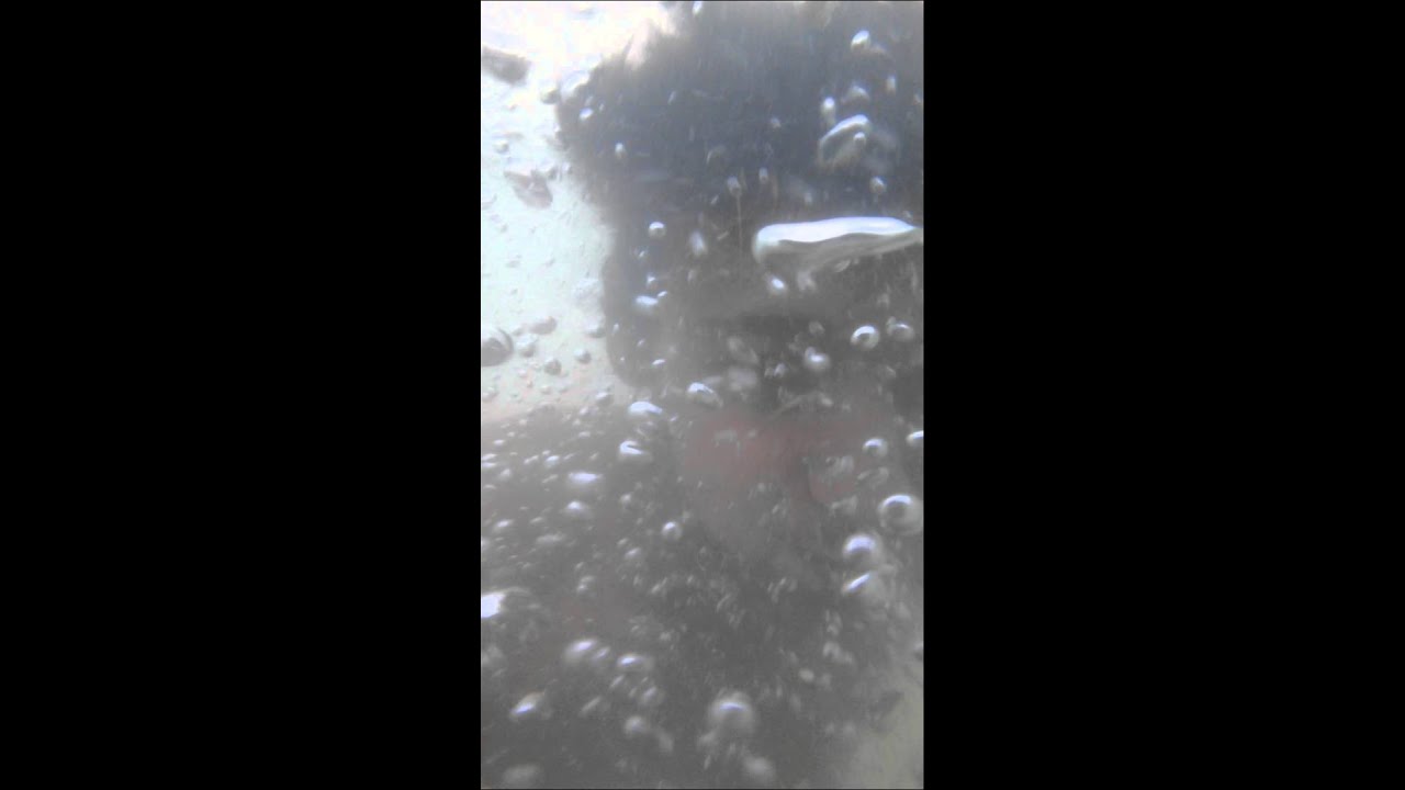 Dunk tank underwater - YouTube