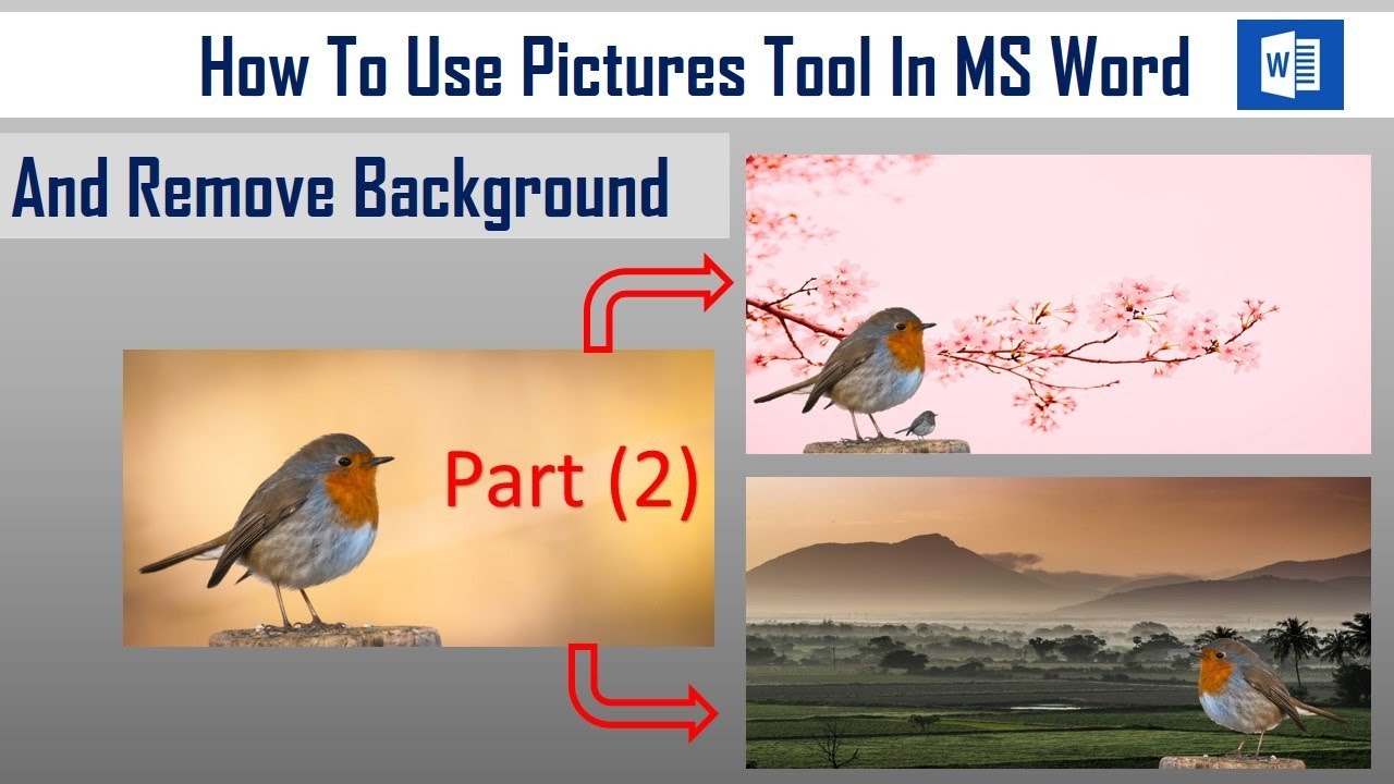 How to use pictures tools in Ms Word and remove the background part (2 ...