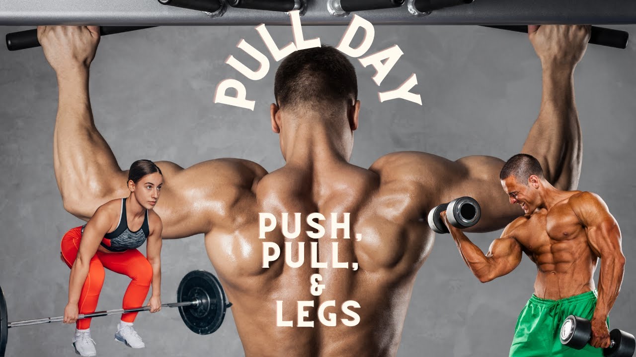 Pull Day: Push-Pull-Legs Vol.(1) #workout #workoutsplit - YouTube