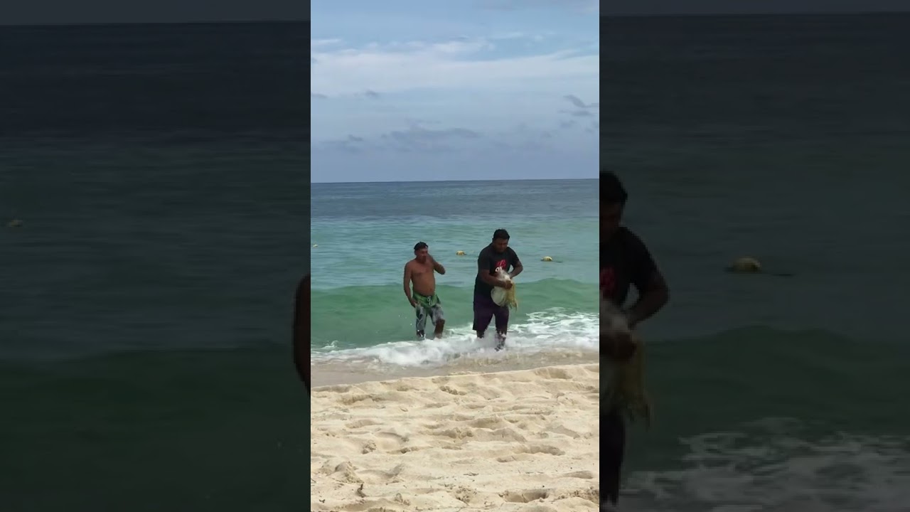 Beach Fishing cancun - YouTube