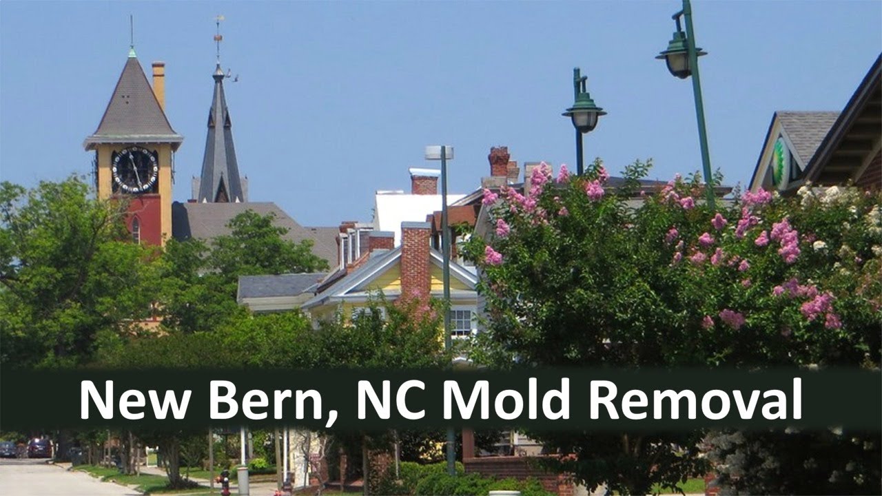 New Bern, NC Mold Removal - YouTube