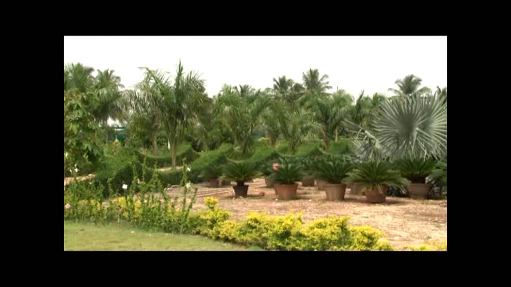 Farm House Land Coimbatore(TN) . India - YouTube
