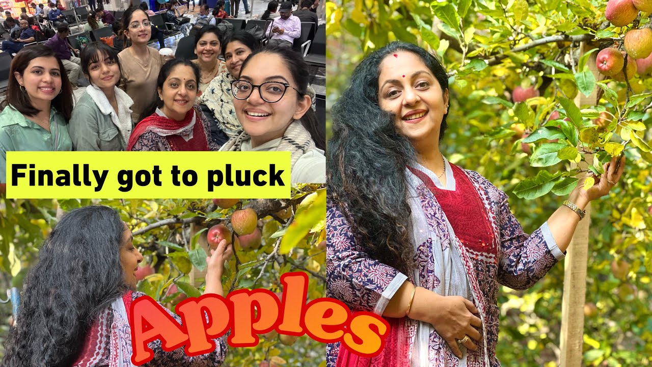 Got to pluck Apple for the first time |Sindhu krishna - YouTube