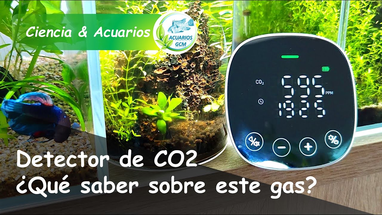 Detector de CO2 ¿Qué sabes sobre el DIOXIDO DE CARBONO? - YouTube
