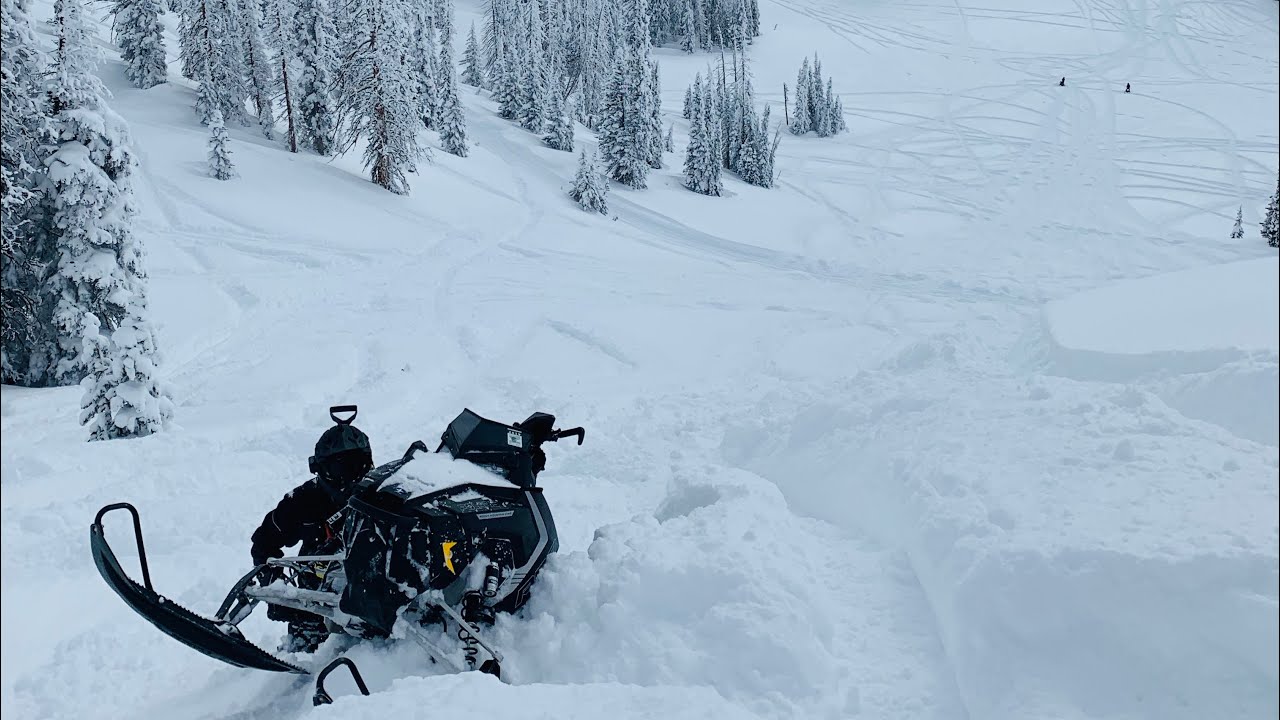 Fresh Snow Rabbit Ears - YouTube