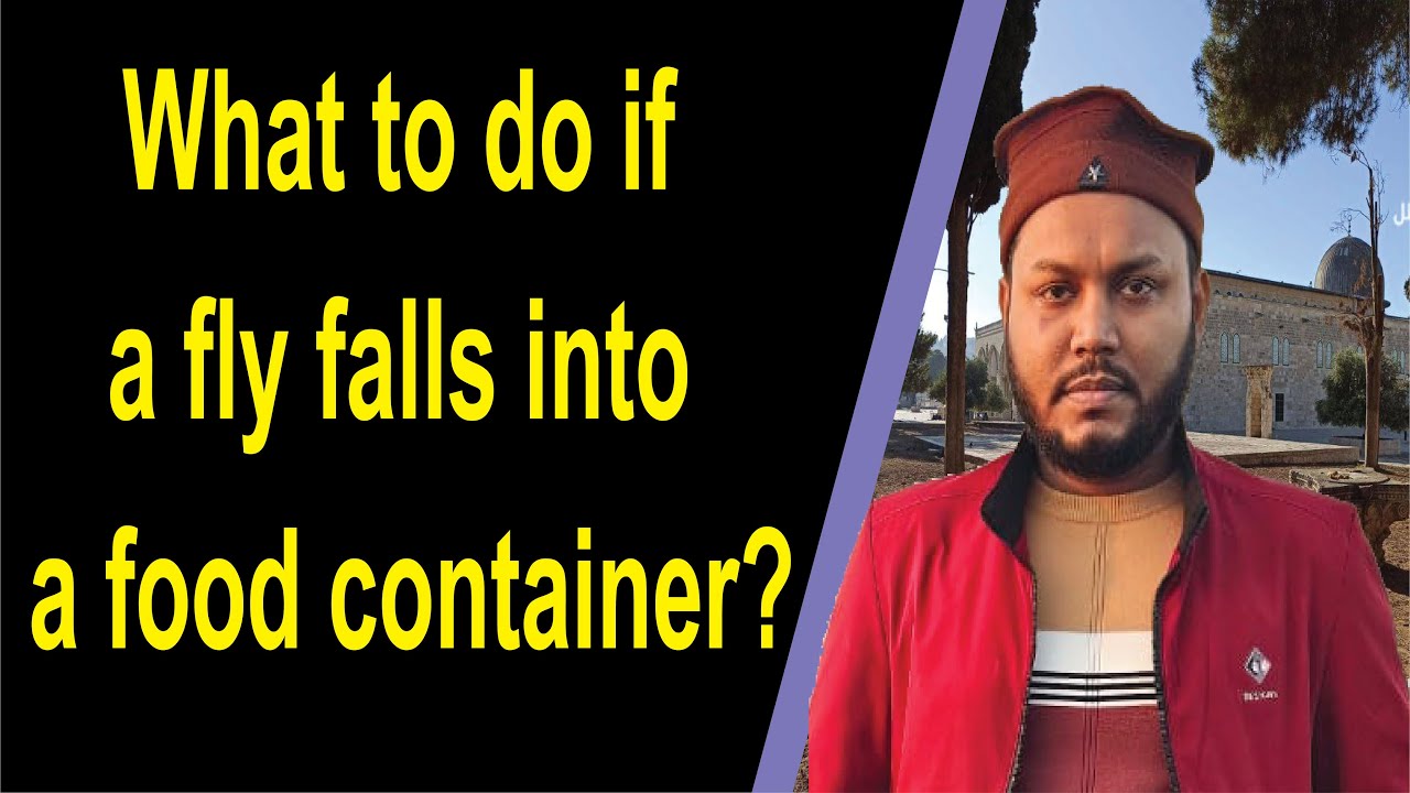What to do if a housefly falls into a food container ? - YouTube