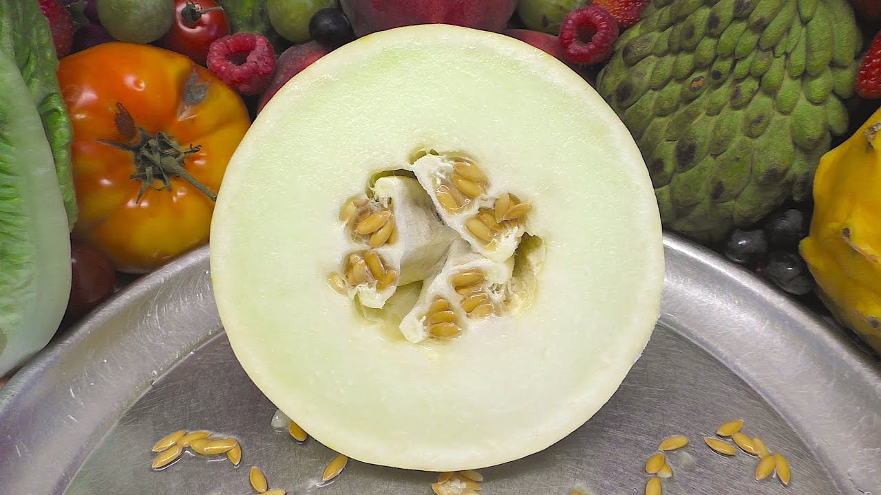 Matice Melons - YouTube