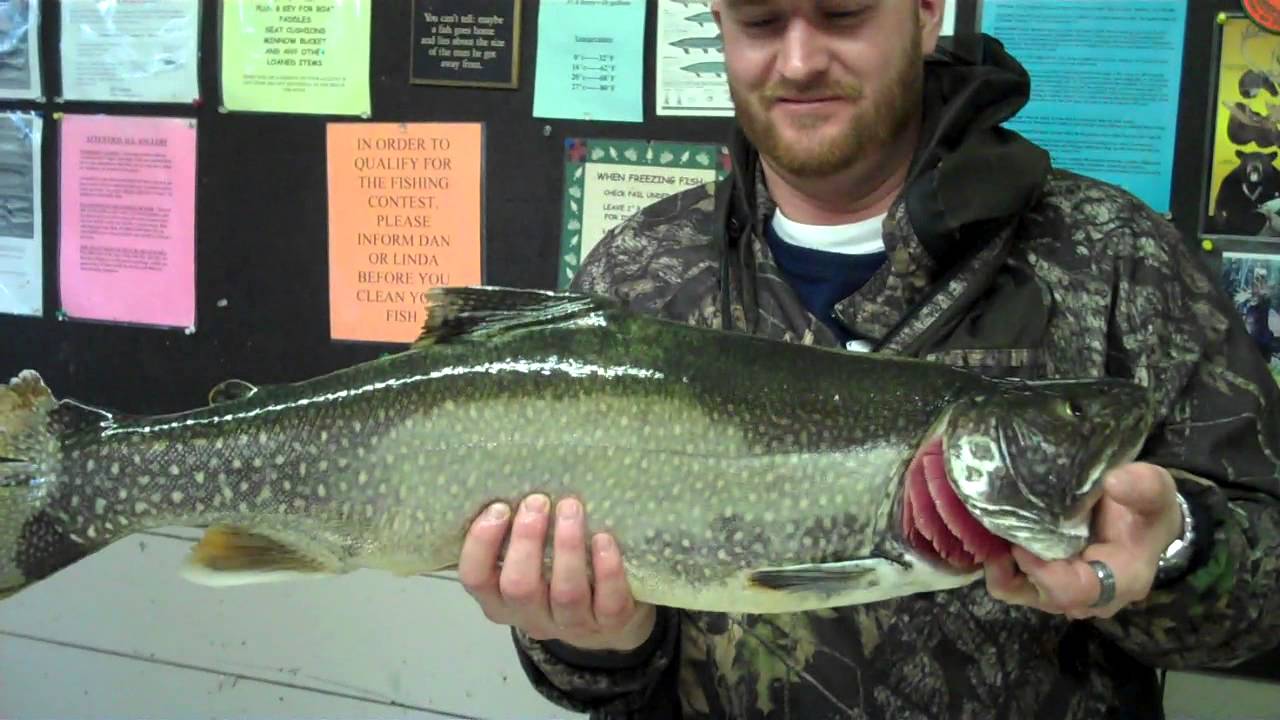 Huge Ontario Splake - YouTube