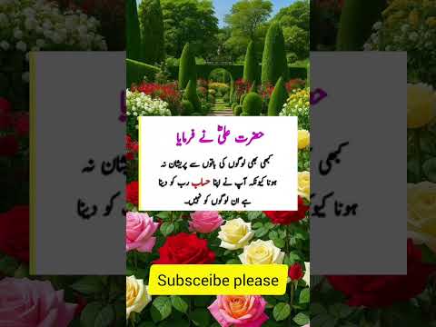 Beautiful Islamic status, Islamic status on Muslim, 4k Islamic status #Islam​#allah​#ytshort​#shorts