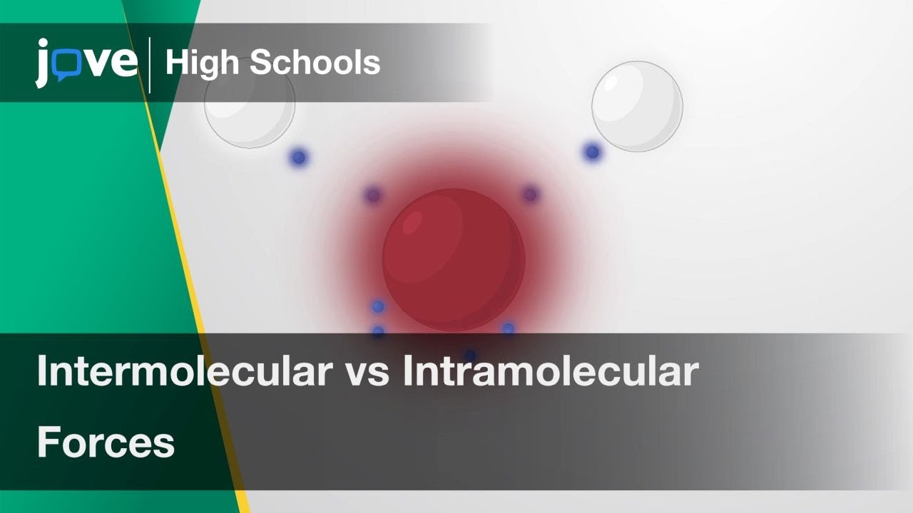 Intermolecular Vs Intramolecular Forces Chem Video Textbooks 8997