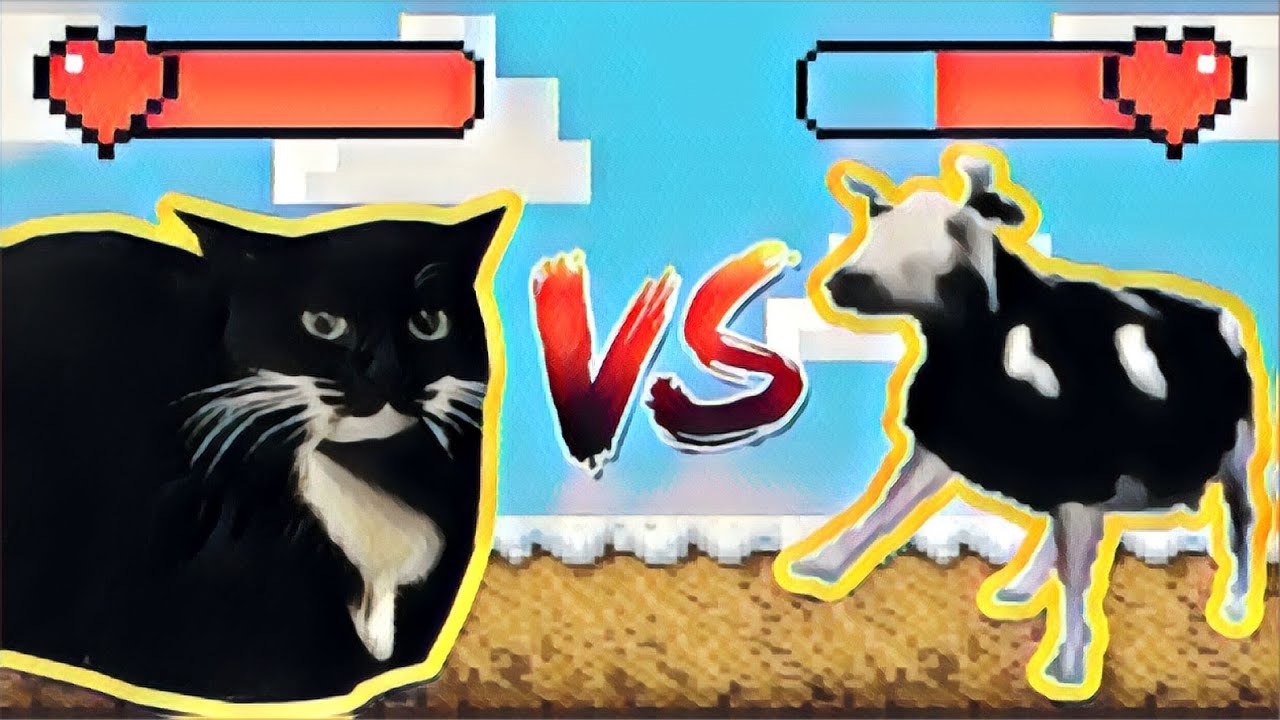 Maxwell Cat VS Dancing Polish Cow Meme - YouTube