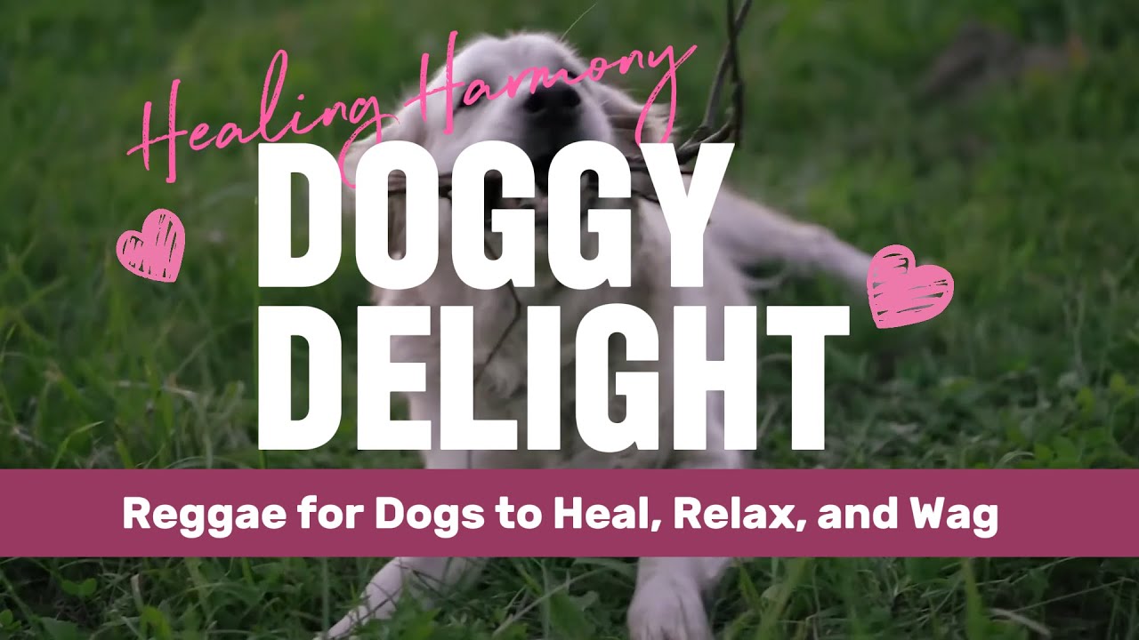 Canine Joy: Reggae Melodies for Happy Pups / Reggae Jams for Dogs and ...