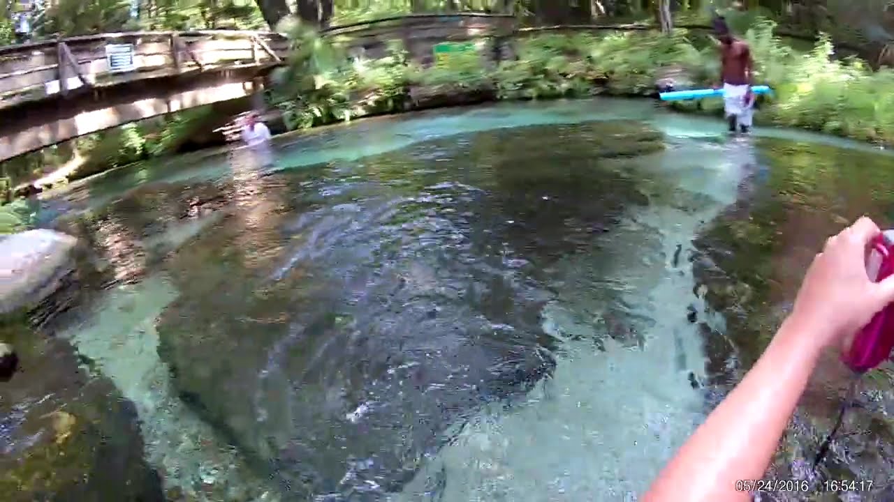 Alexander Springs/Rock Springs Run - YouTube
