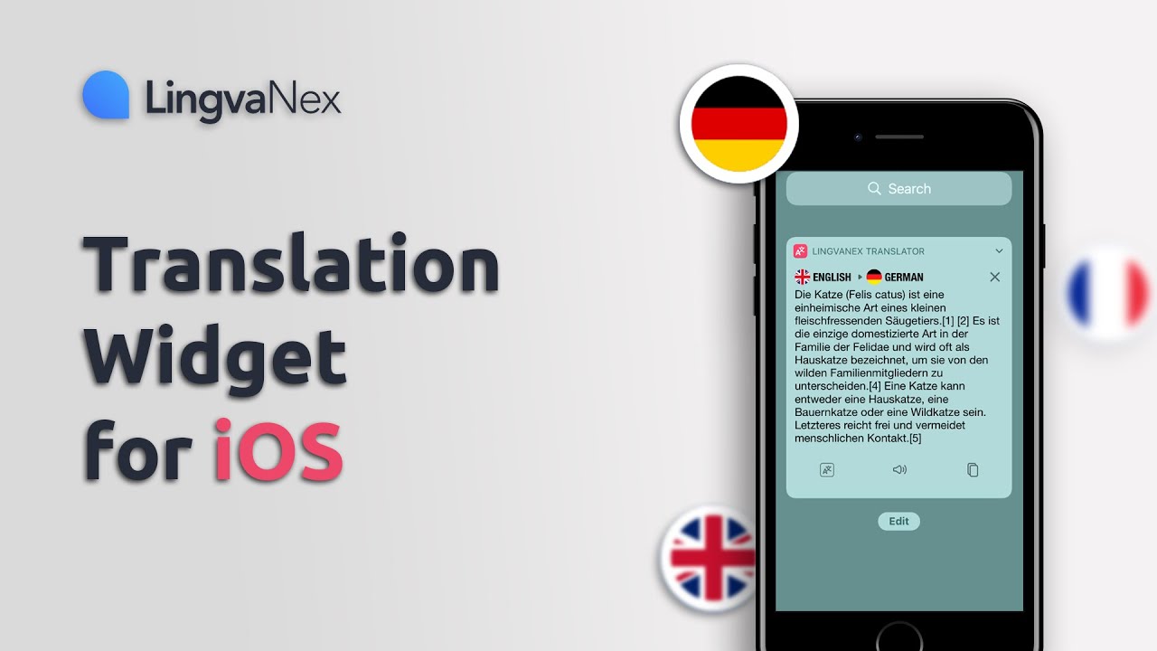 iOS Widget for Translation | Lingvanex Translator for iOS - YouTube