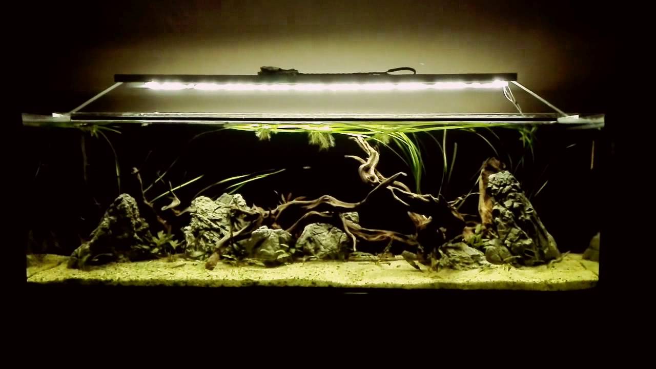 home aquarium 182l (130x35x40) - YouTube