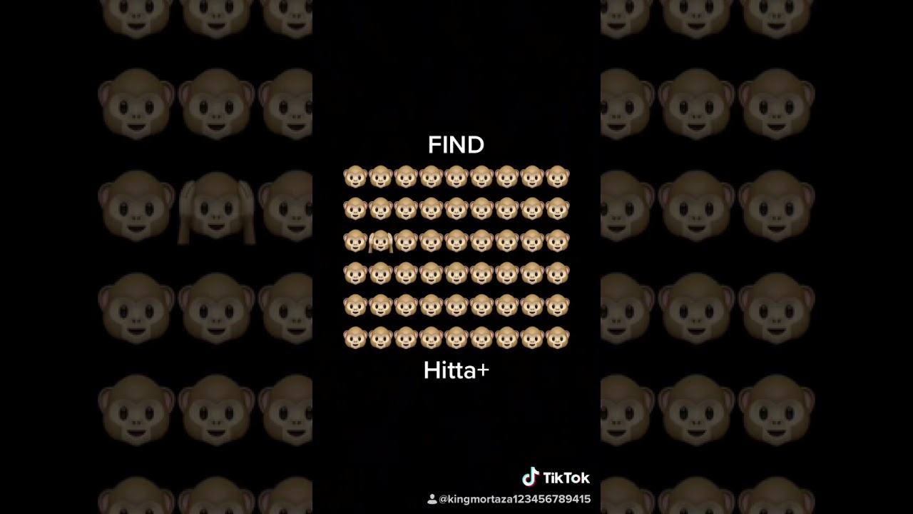 FIND MONKEY - YouTube