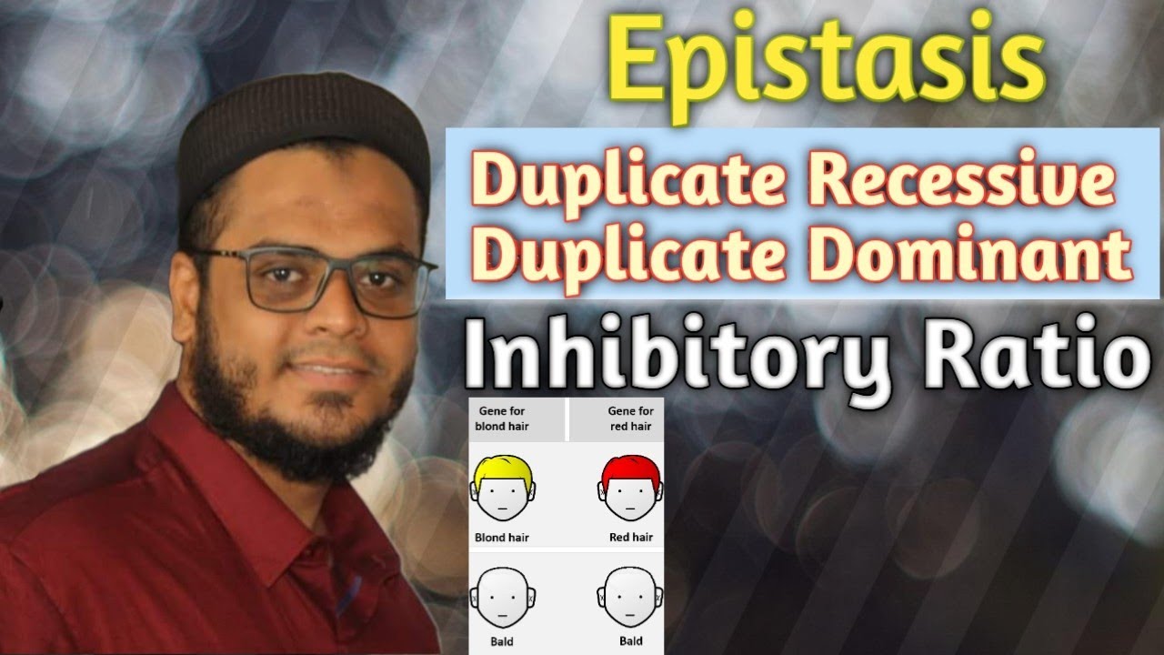 Epistasis | Duplicate Recessive | Duplicate Dominant | Inhibitory Ratio ...