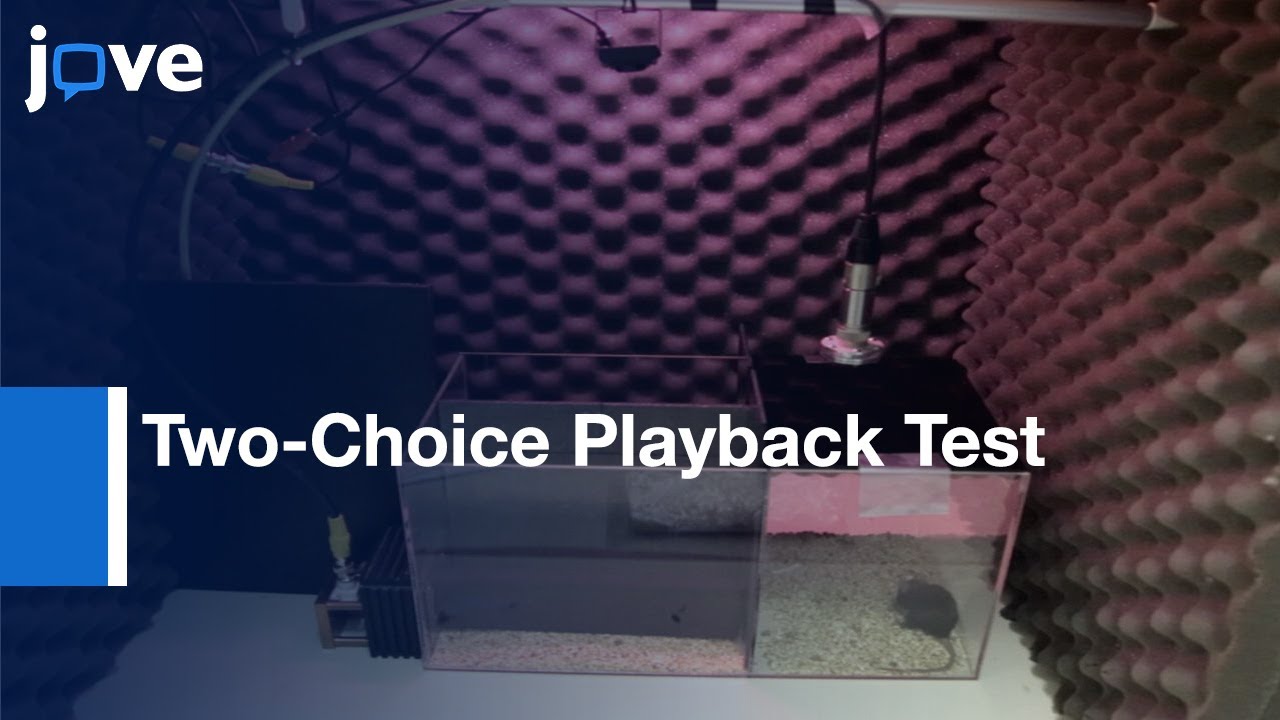 Determining Ultrasonic Vocalization Preferences In Mice l Protocol ...