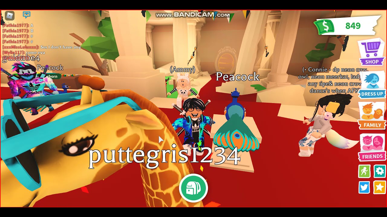 New PEACOCK pet in ADOPT ME! - YouTube