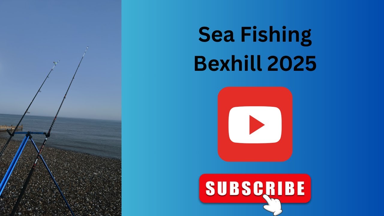 Sea Bass Fishing Bexhill 2025 - YouTube