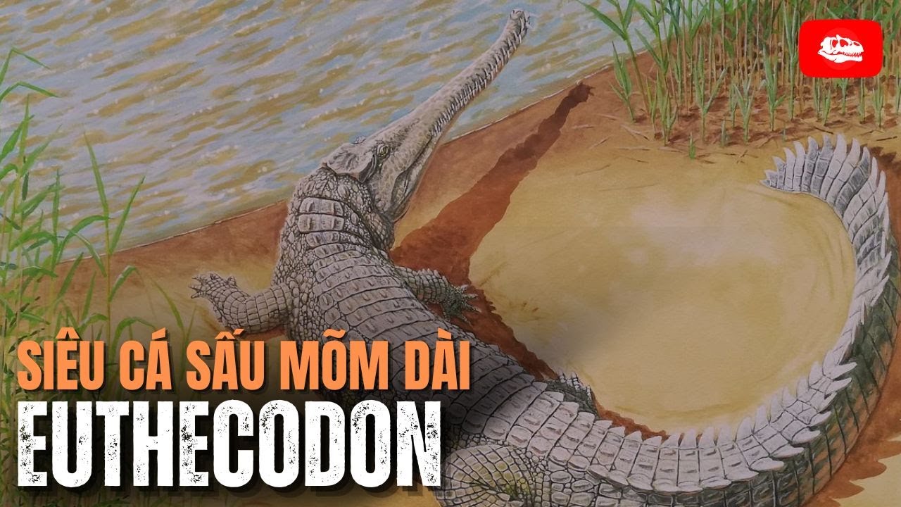 Euthecodon: Siêu cá sấu mõm dài châu Phi | Hồ sơ cổ sinh - YouTube