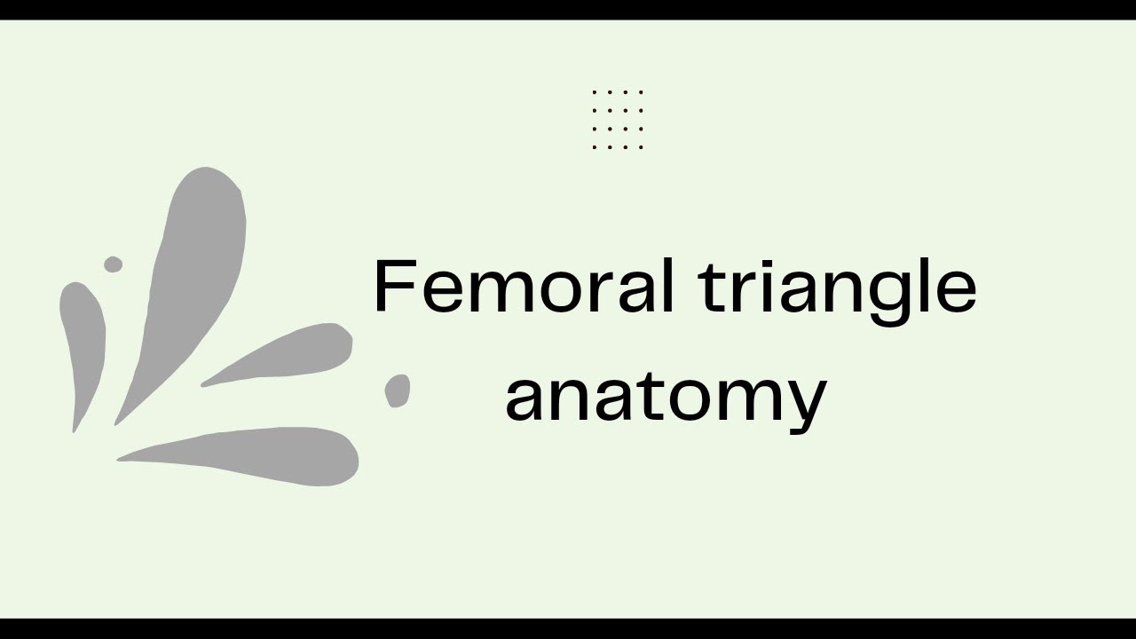 Femoral triangle notes//anatomy of Femoral triangle - YouTube