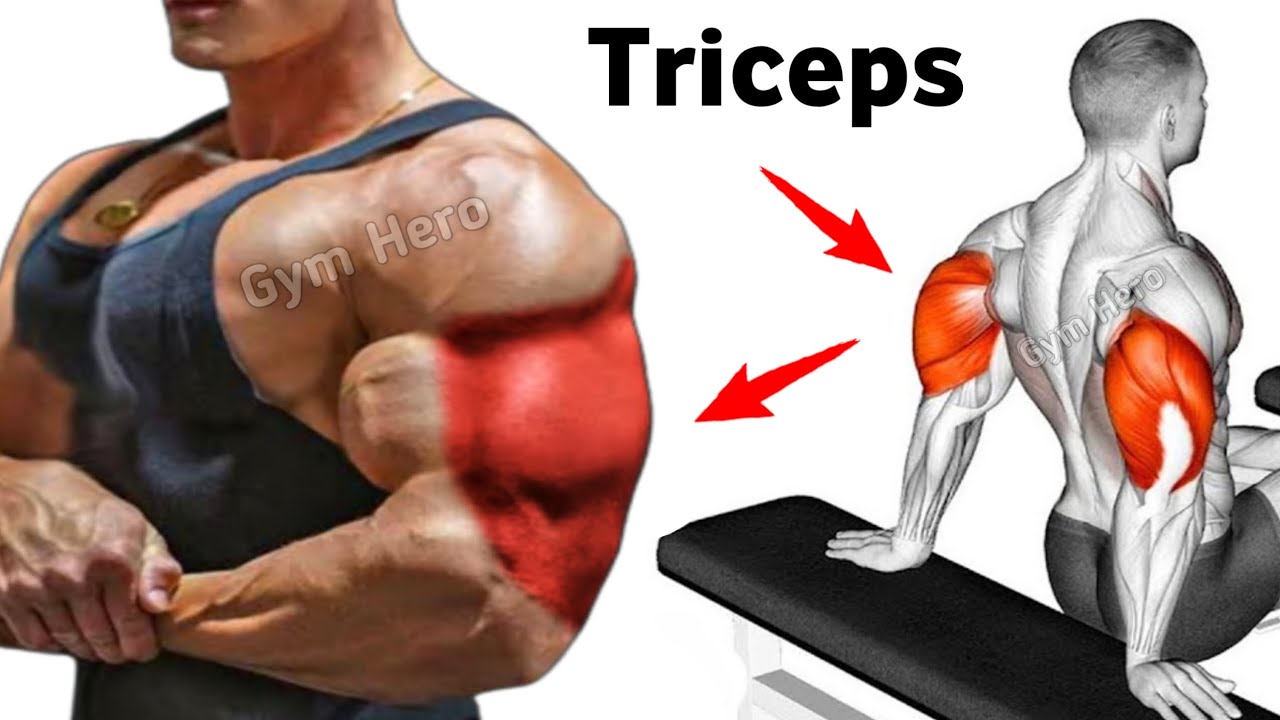 6 Gym Effective Triceps Workout - Triceps Workout At Gym - YouTube