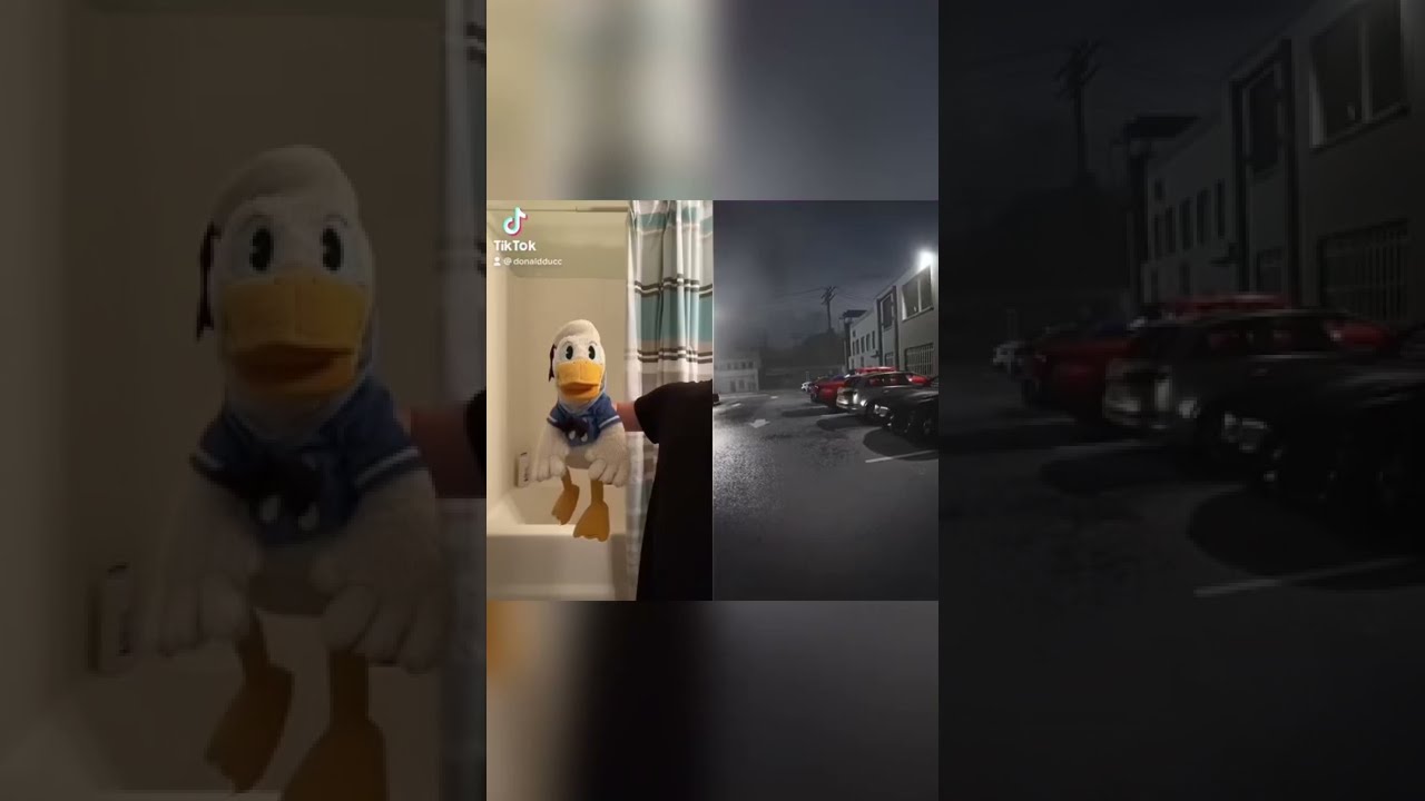 Donald Duck hates being afraid #shorts - YouTube