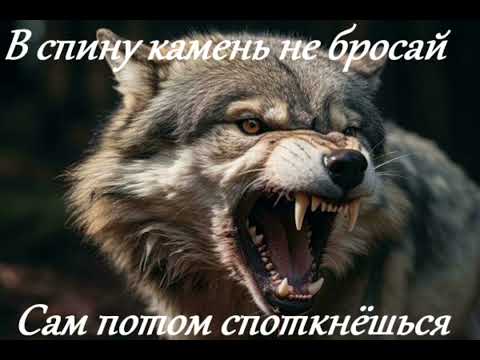 Garik Garik...в спину камень не бросай...