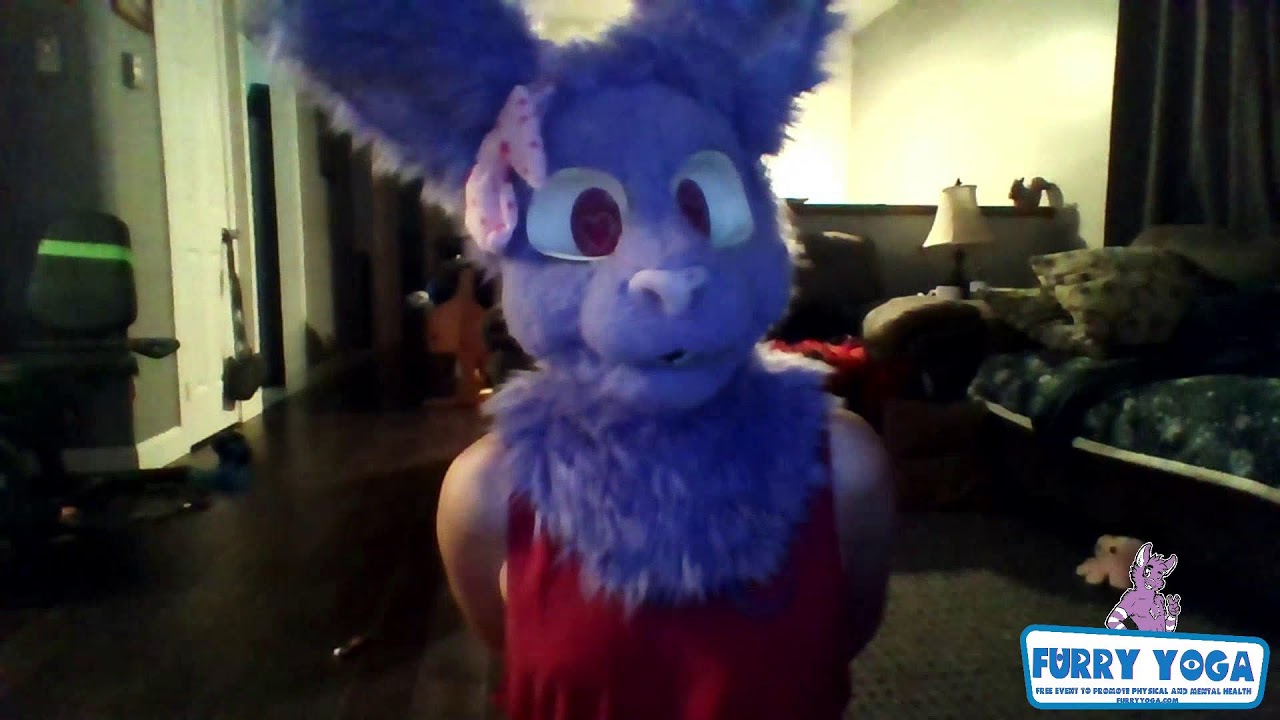 Furry Yoga 304: Lets Stretch - YouTube