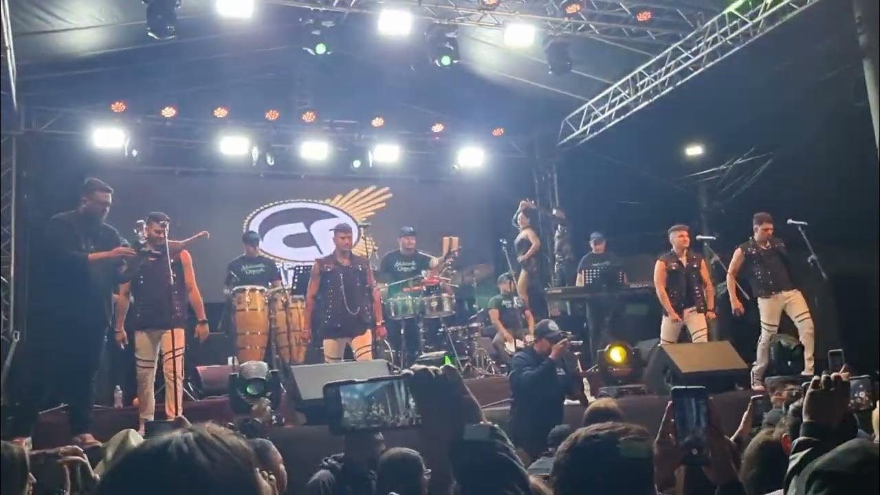 Persona ideal. Adolescentes Orquesta acompañados por Salsalvador USA ...