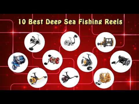 Best Deep Sea Fishing Reels - YouTube