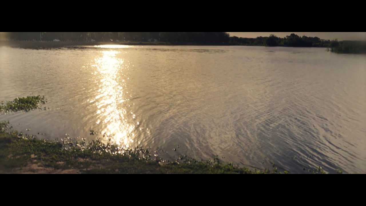 Zunny ft. Quasar Mov - GOLOSINA (Visualizer) | RECORTES - YouTube