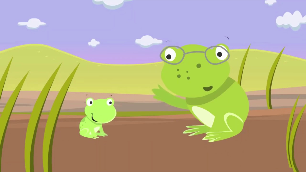 Cuentos Infantiles SARITA, LA RANA SALTARINA : ) - YouTube