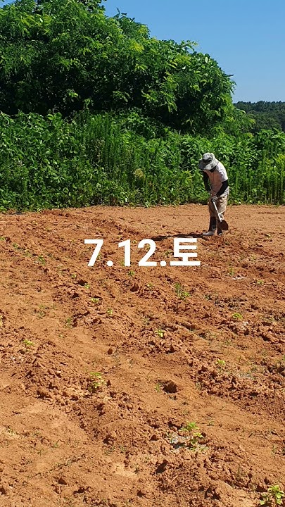 농사.7.12 - YouTube