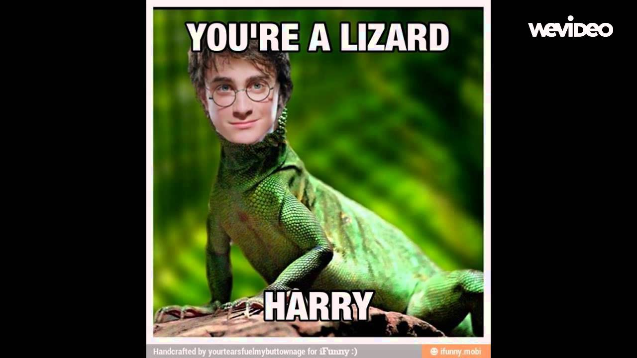 Harry Potter, Lizard Extraordinaire - YouTube