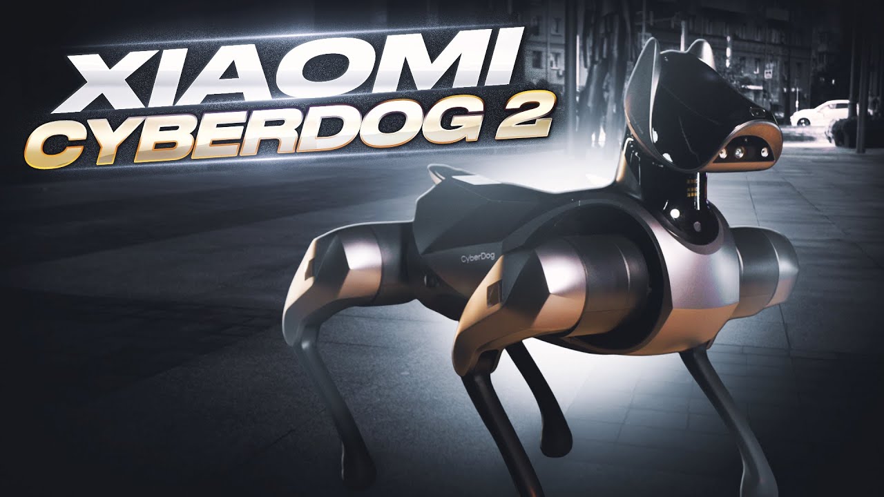Xiaomi CyberDog 2 — питомец будущего - YouTube